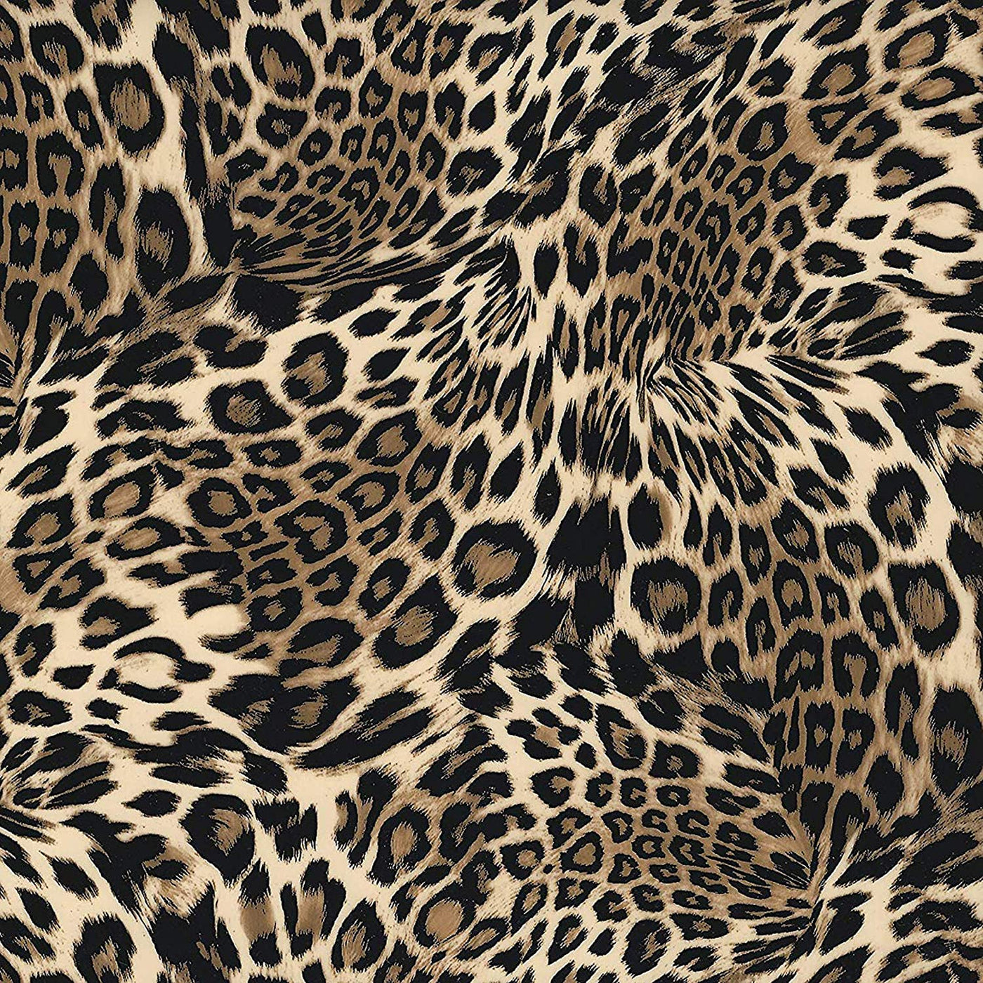 Leopard HTV — Print 2 Press, LLC
